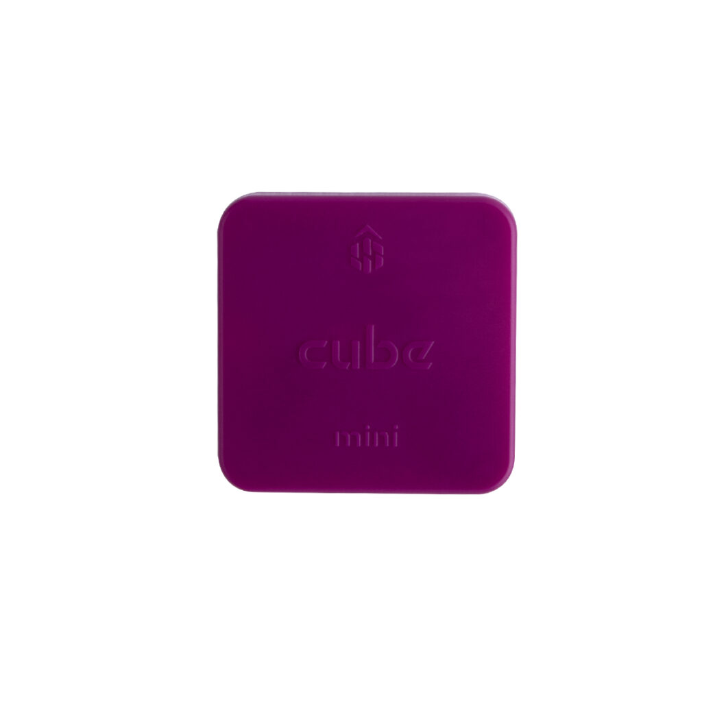 Cubepilot The Purple Cube - CubePilot 2.1 - Aero Systems West